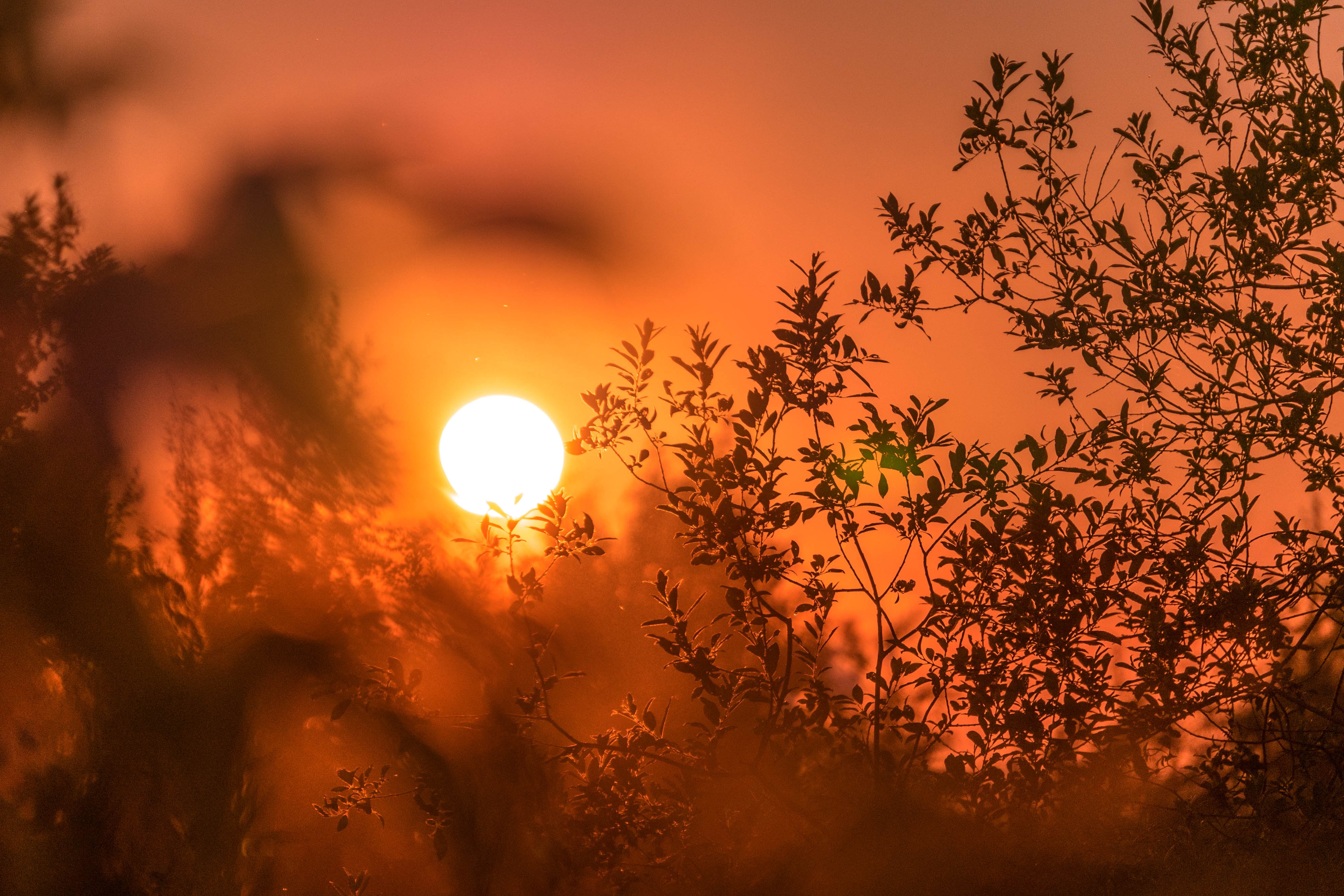 After the Solstice - Attunement