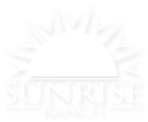 Join Our Online Community Becoming A Sun Programs