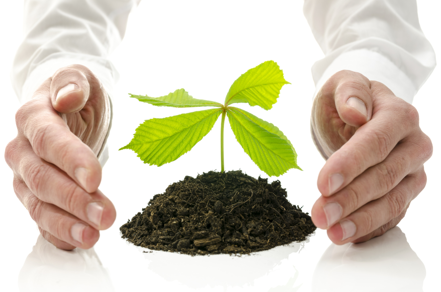 Introduction to Attunement - Attunement